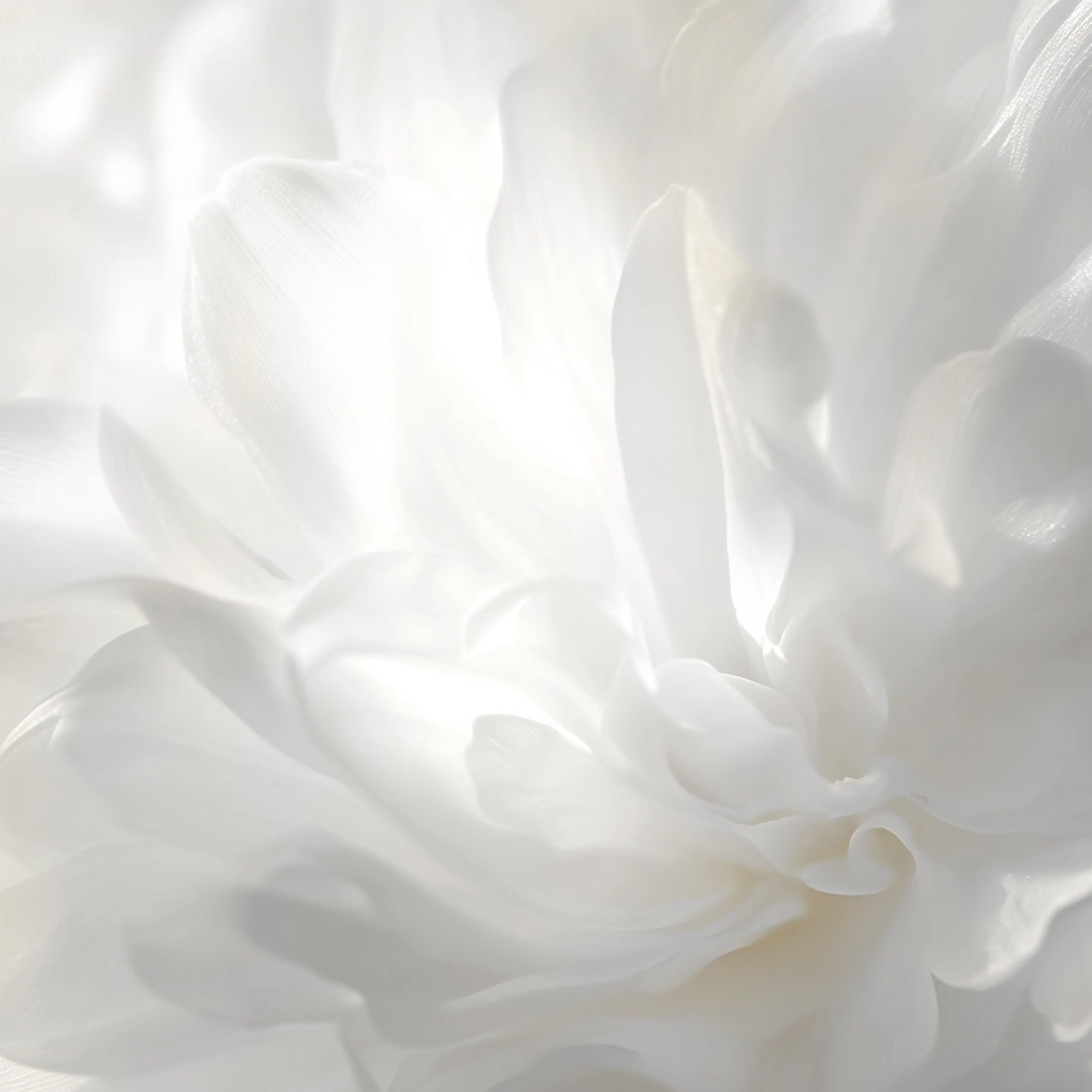 The Color Of 2026: Cloud Dancer | Linen Fashion