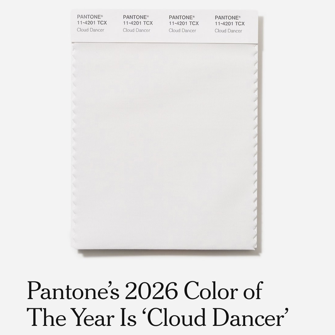 The Color Of 2026: Cloud Dancer | Linen Fashion